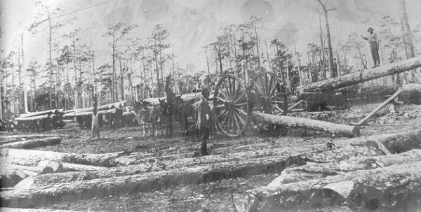 Audrey McKnight & Norma Turner Interview - Flagler County Historical ...