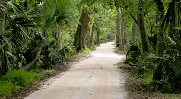 Old Kings Road - Flagler County Historical Society